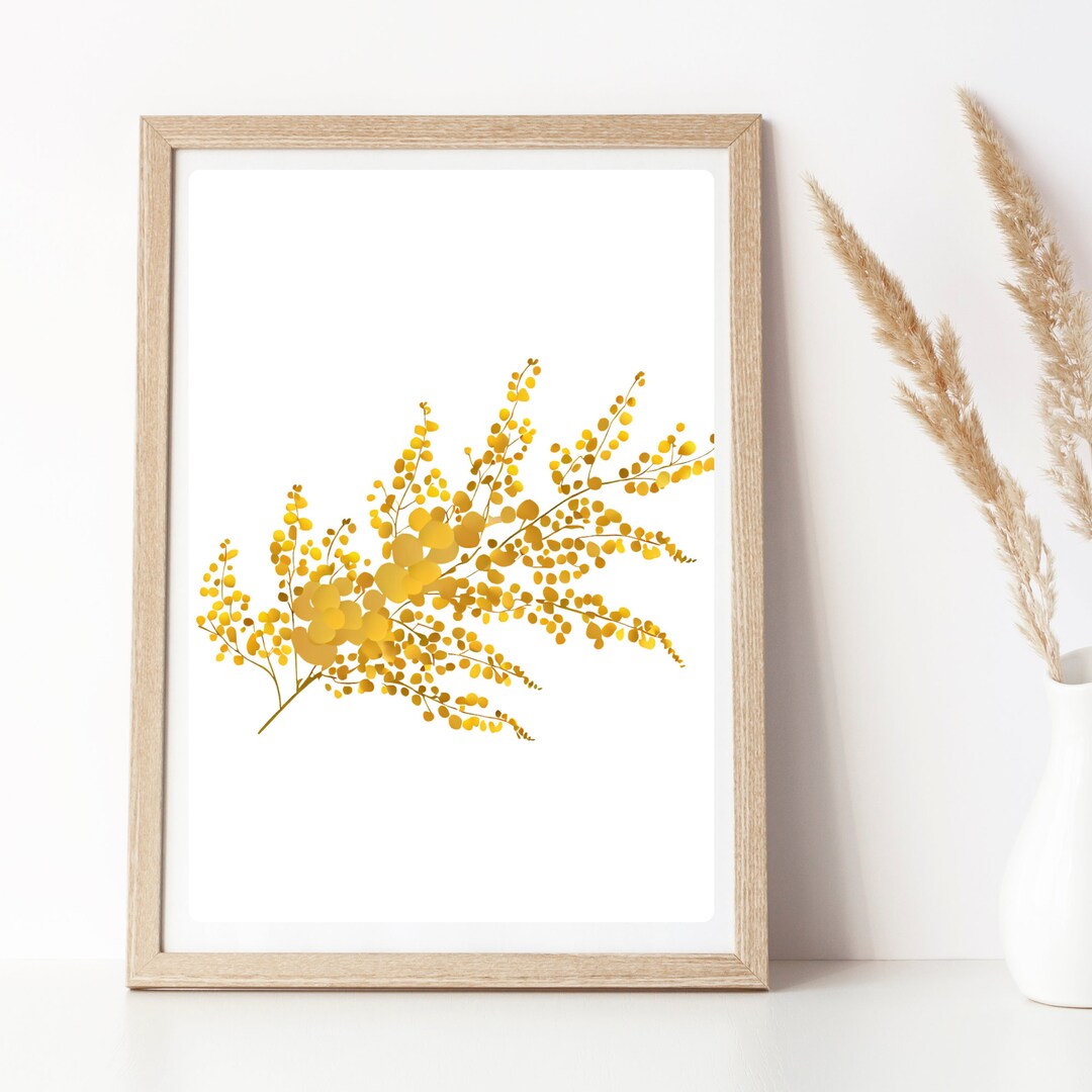 Flower Wattle Digital Art, Australian Native Flowering Wattle Digital ...