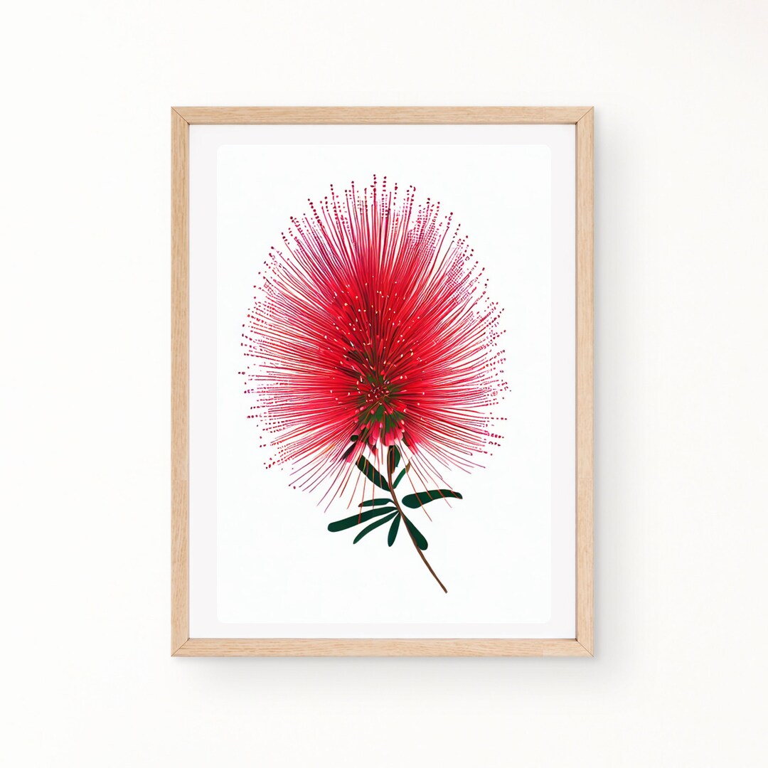 Australian Native Digital Floral Botanical Décor Bright - Etsy