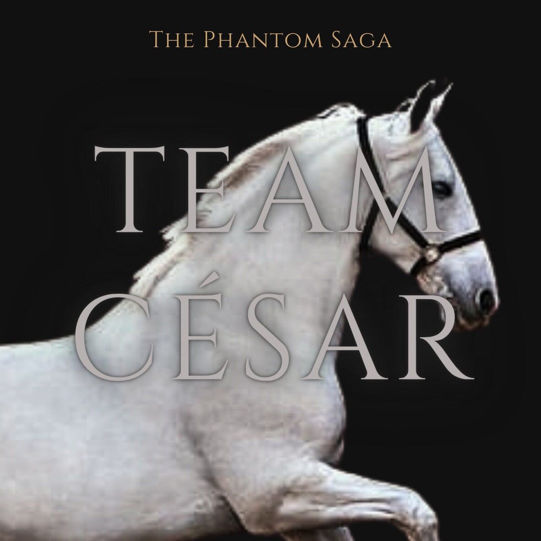 Team César Sticker - Etsy