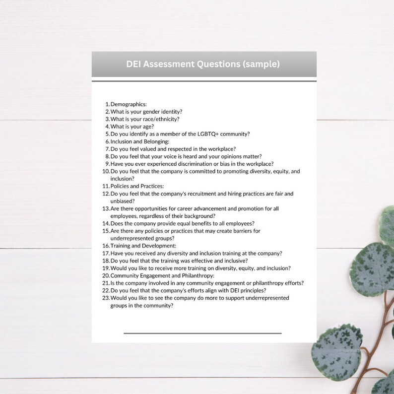 DEI (diversity, Equity, and Inclusion) Templates Bundle | Instant ...