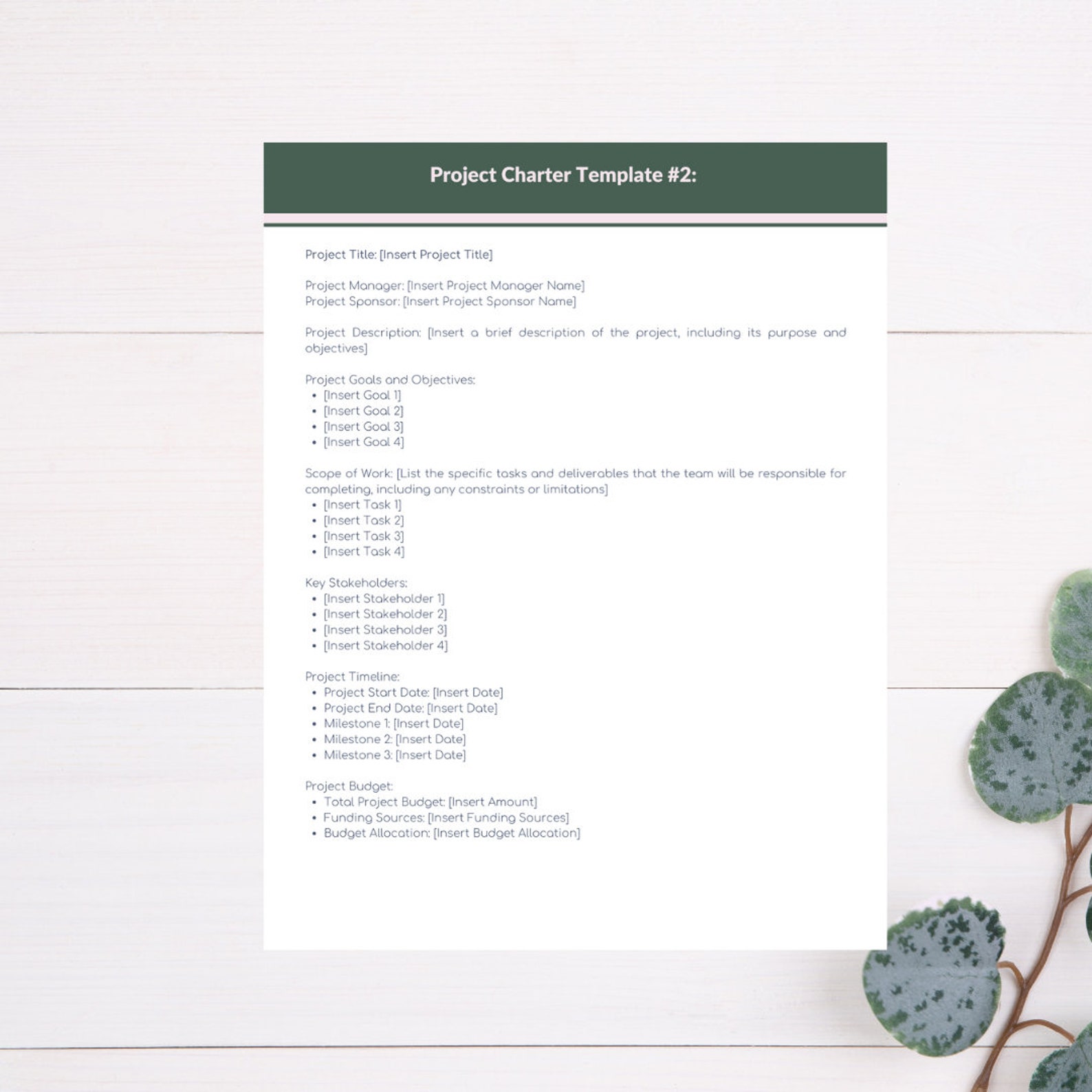 Project Management Templates Bundle | Instant Download | Fully ...