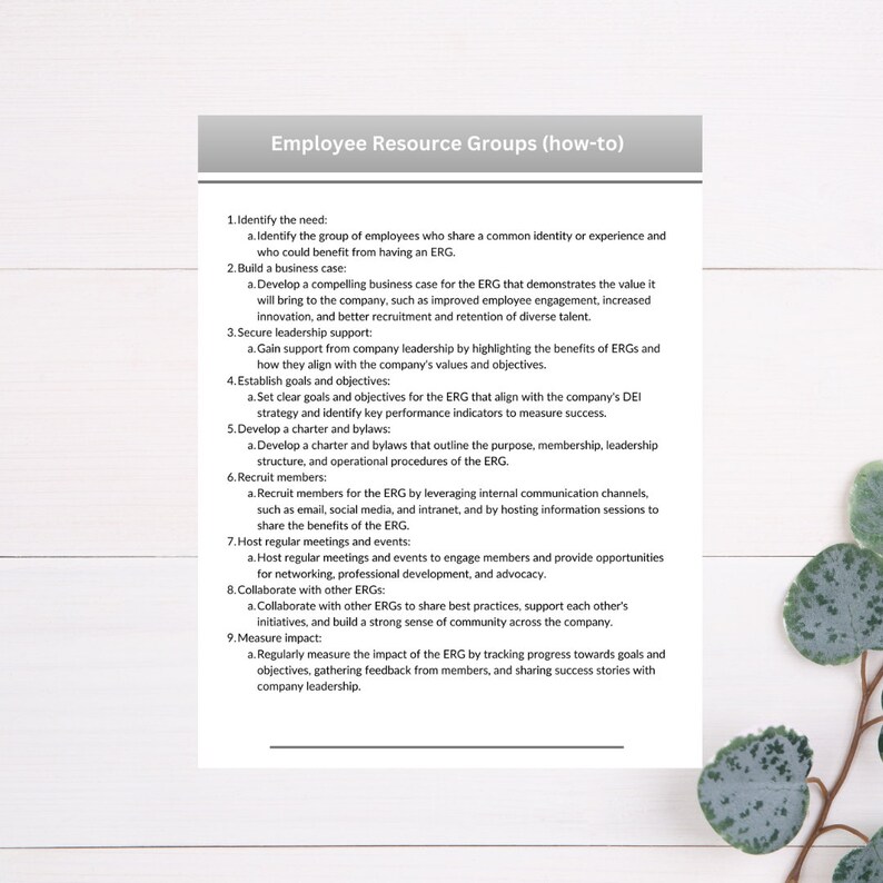 DEI (diversity, Equity, and Inclusion) Templates Bundle | Instant ...