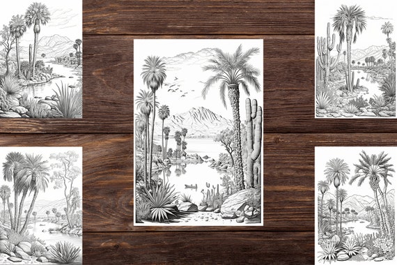 Desert Oasis Coloring Pages