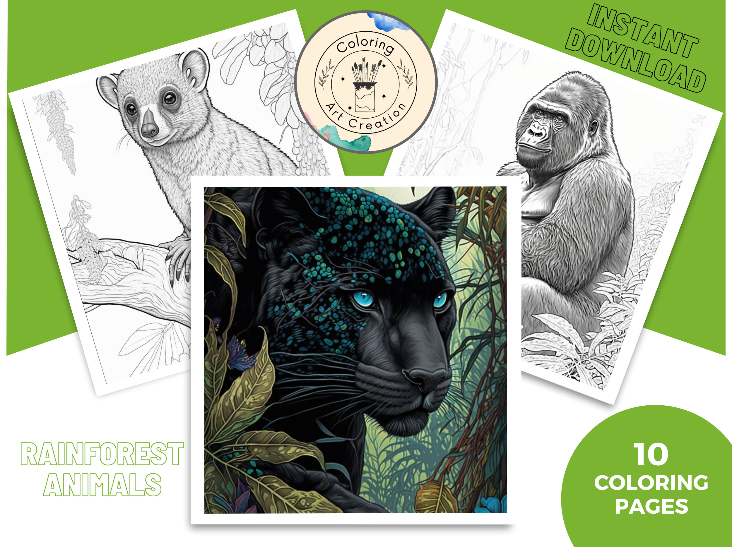 Tropical Rainforest Animal Coloring Pages