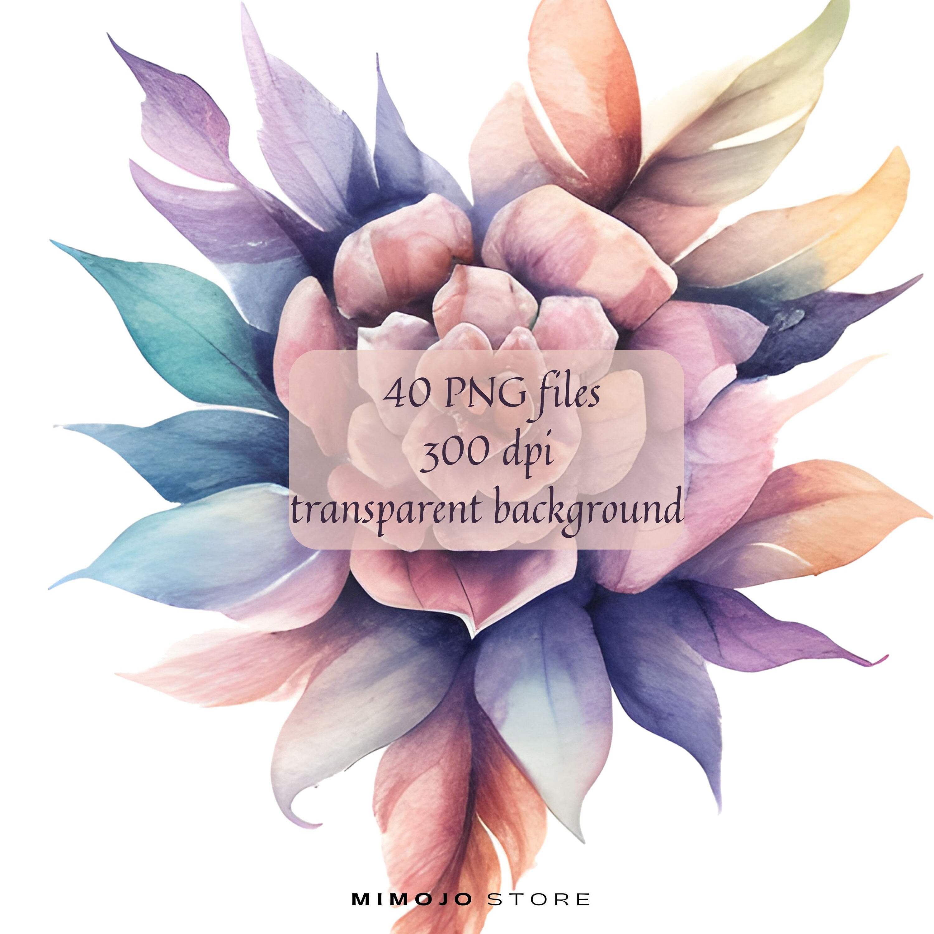 Watercolor BOHO Clip Art Transparent Pngs Digital Art Instant Download ...
