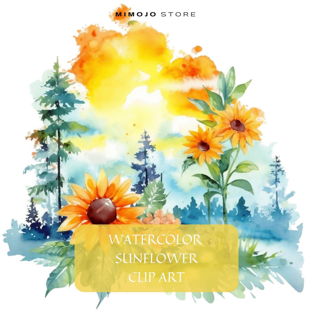 Watercolor SUNFLOWER Summer Clip Art Transparent Pngs Digital Art ...