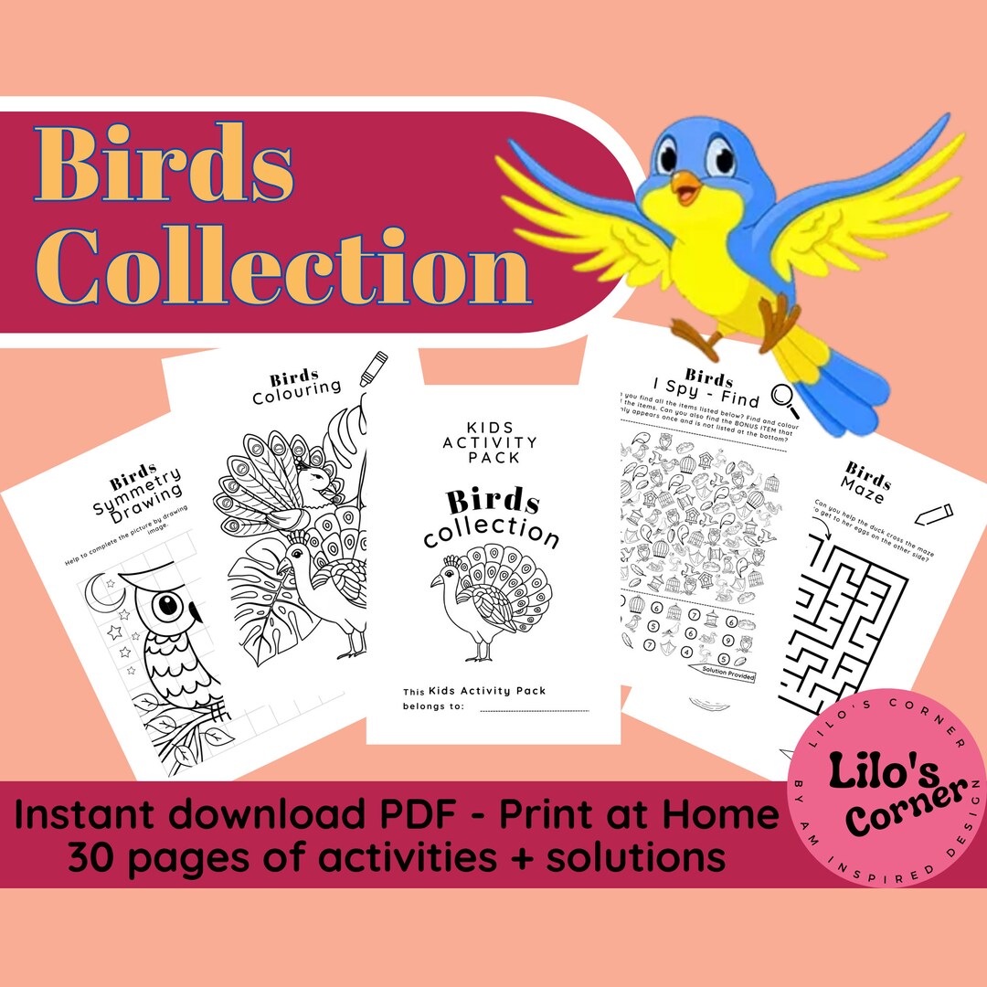 BIRDS Kids Activity Pack, Printable Activity for Kids, Word Find, Mazes ...
