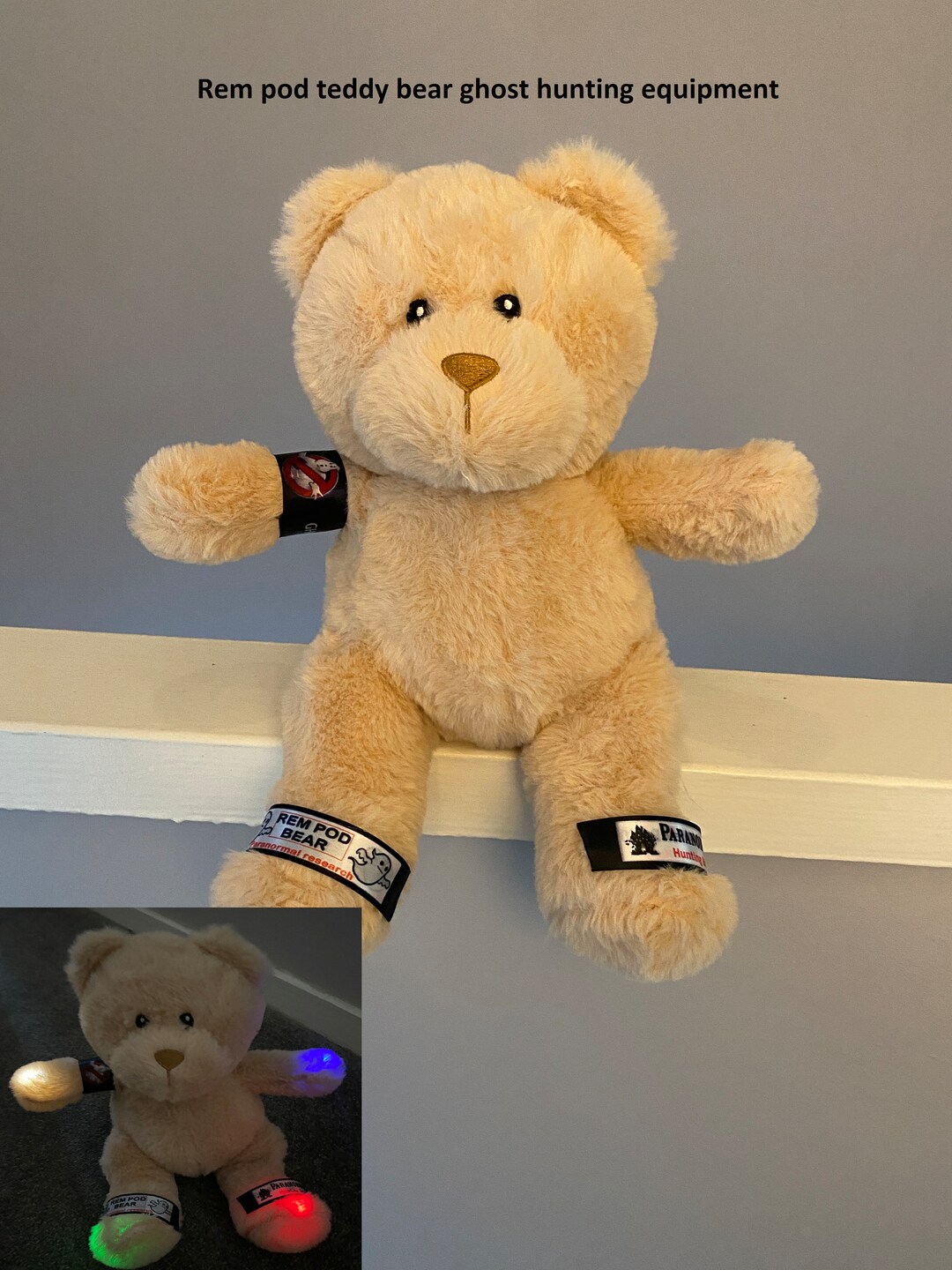 Rem Pod Teddy Bear Ghost Hunting Equipment - Etsy