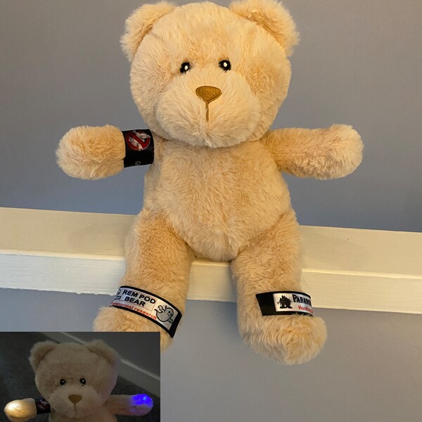 Ghost Hunting Teddy Bear - Etsy