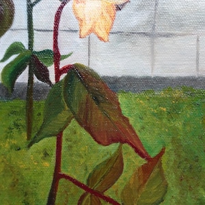 Small Square Oil Painting on Canvas memento Mori 25x25 Cm - Etsy