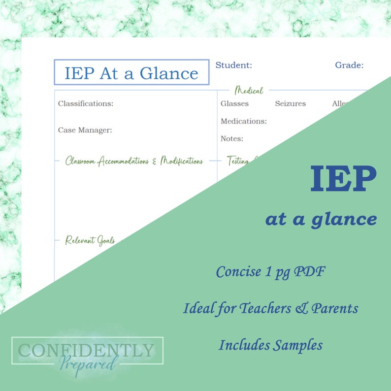 IEP at a Glance, IEP Snapshot, IEP Review, Parents, Teachers - Etsy