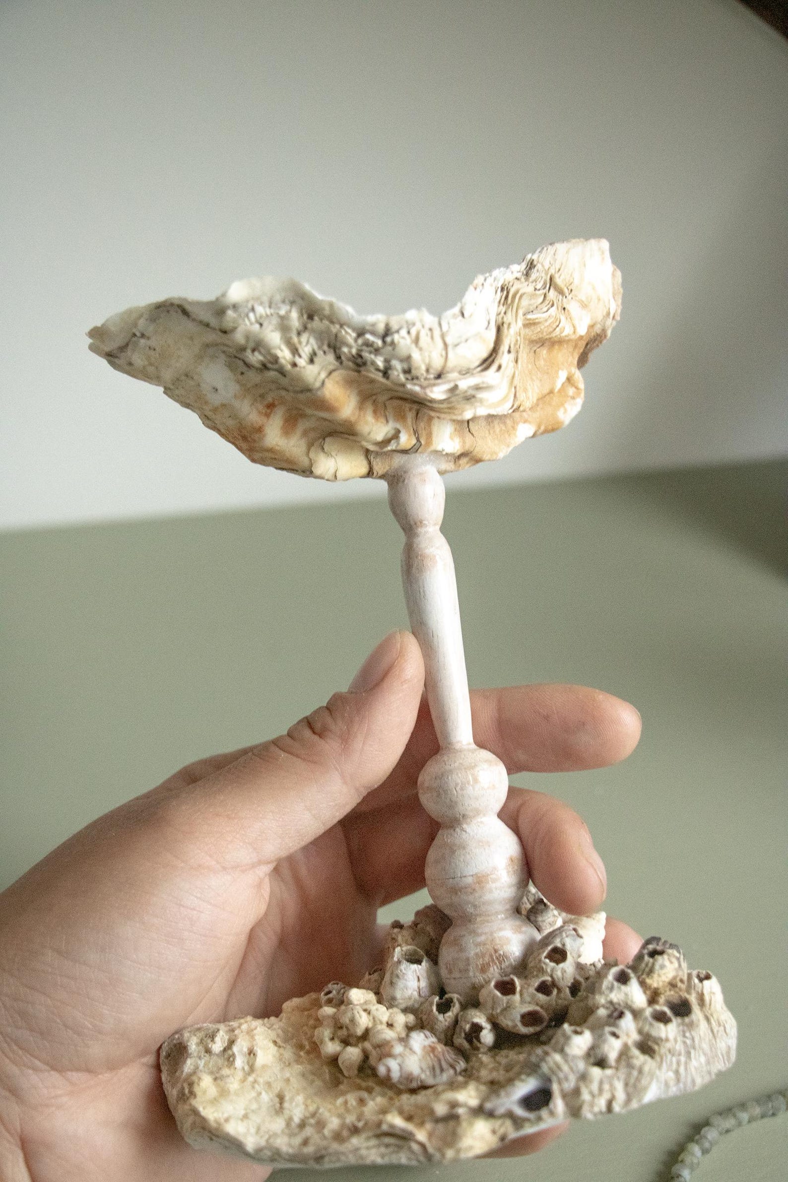 Oyster Shell Jewelry Stand, Ocean Candle Holder, Unique Marine ...