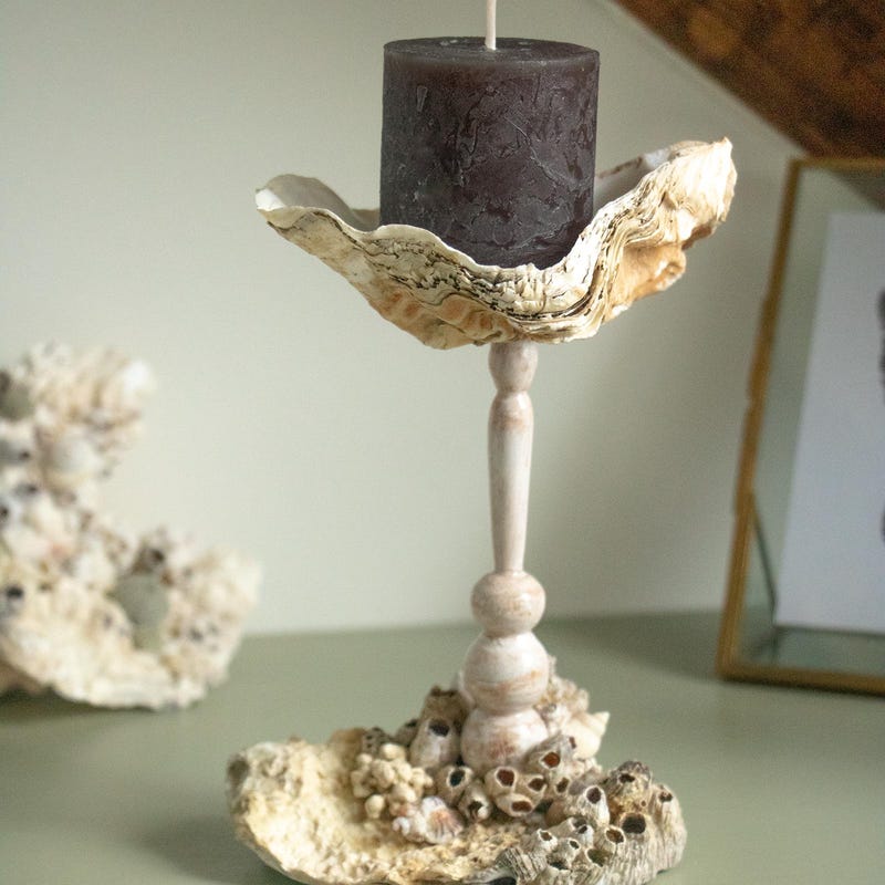 Shell Jewelry Holder - Etsy