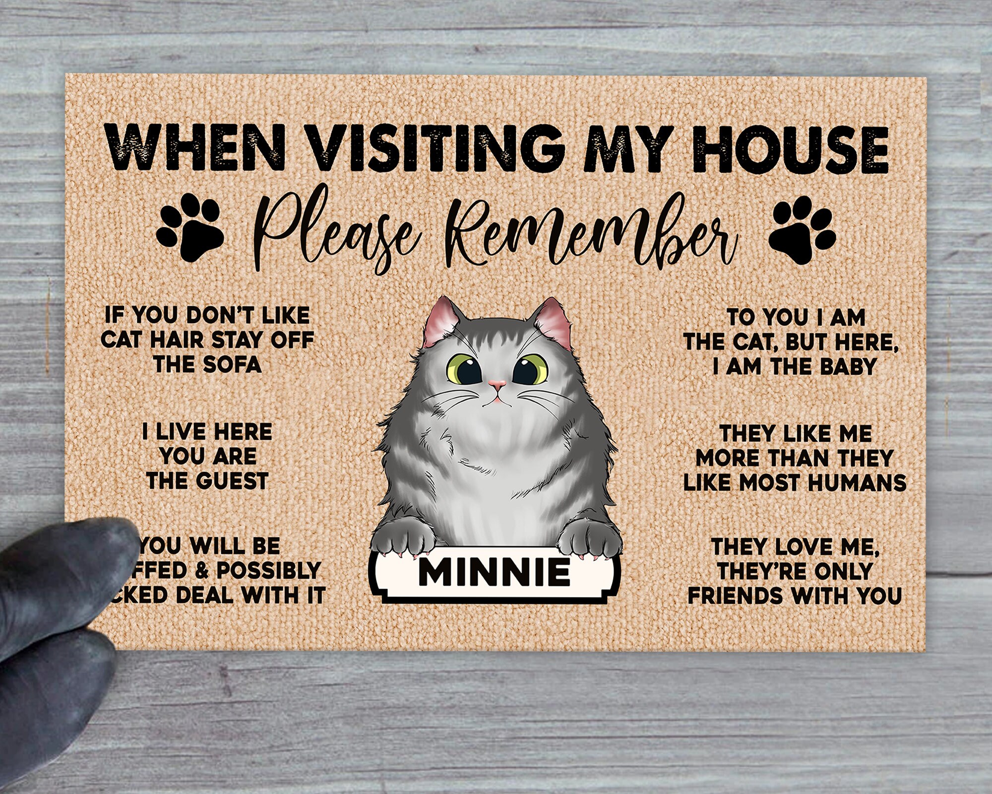 Personalized Cat Doormat, Custom Cat Welcome Mat, Funny Cat Lovers Gift ...