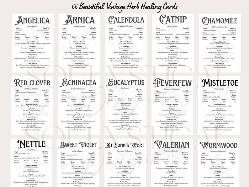 Herb Cards Printable Sketch Style Herb Card Deck Download Medicinal ...