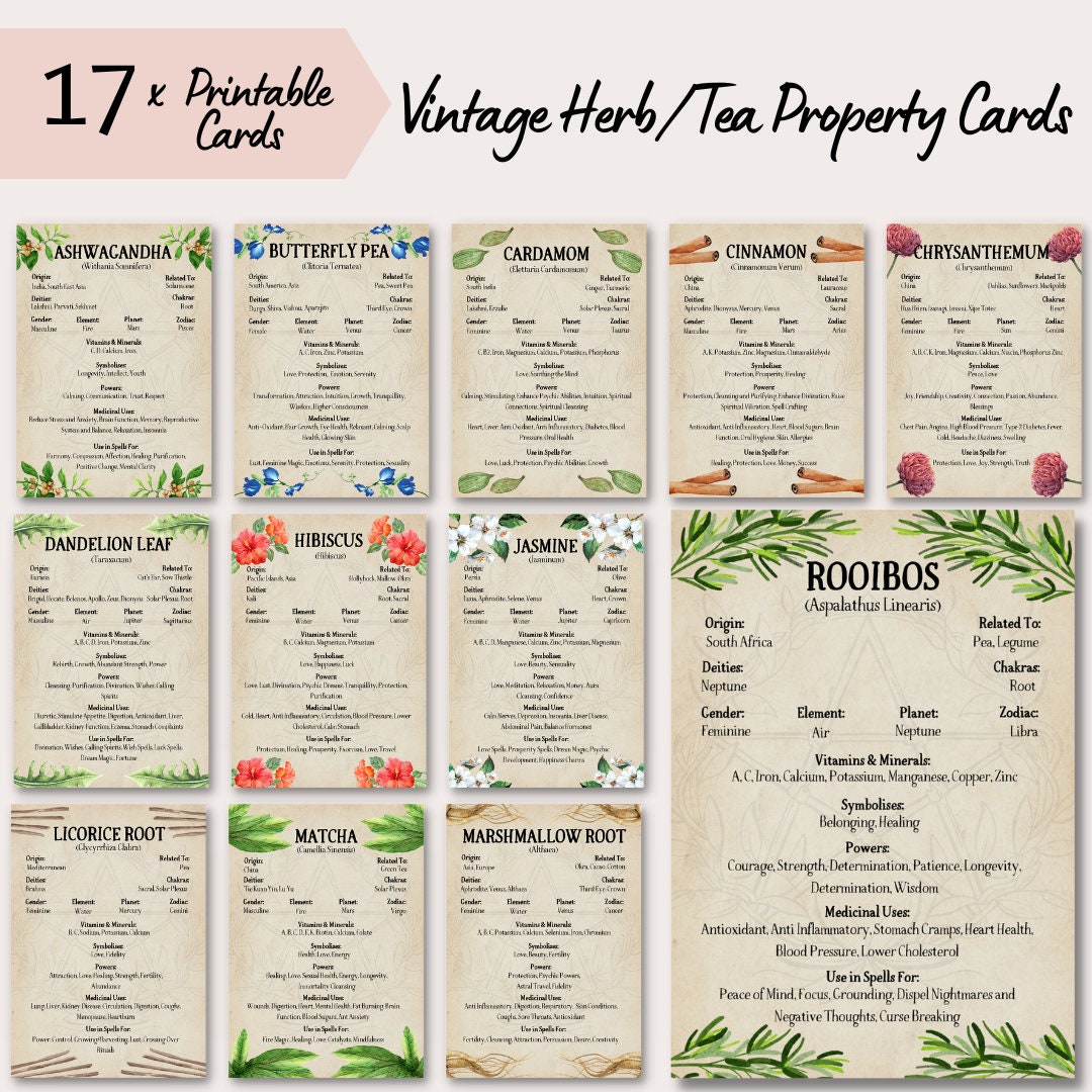 Printable Herb Cards, Watercolour Herbs, Vintage Witch Style, Medicinal ...
