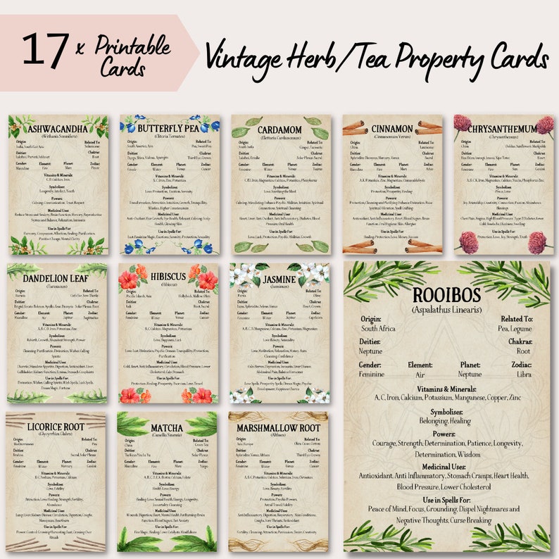 Printable Herb Cards, Watercolour Herbs, Vintage Witch Style, Medicinal ...