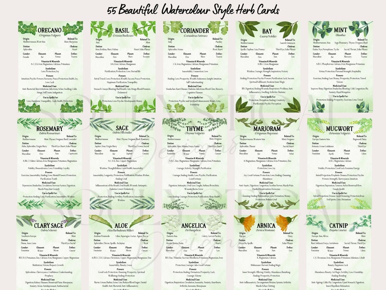 Printable Herb Cards, Watercolour Herbs, Medicinal Herbal Reference ...