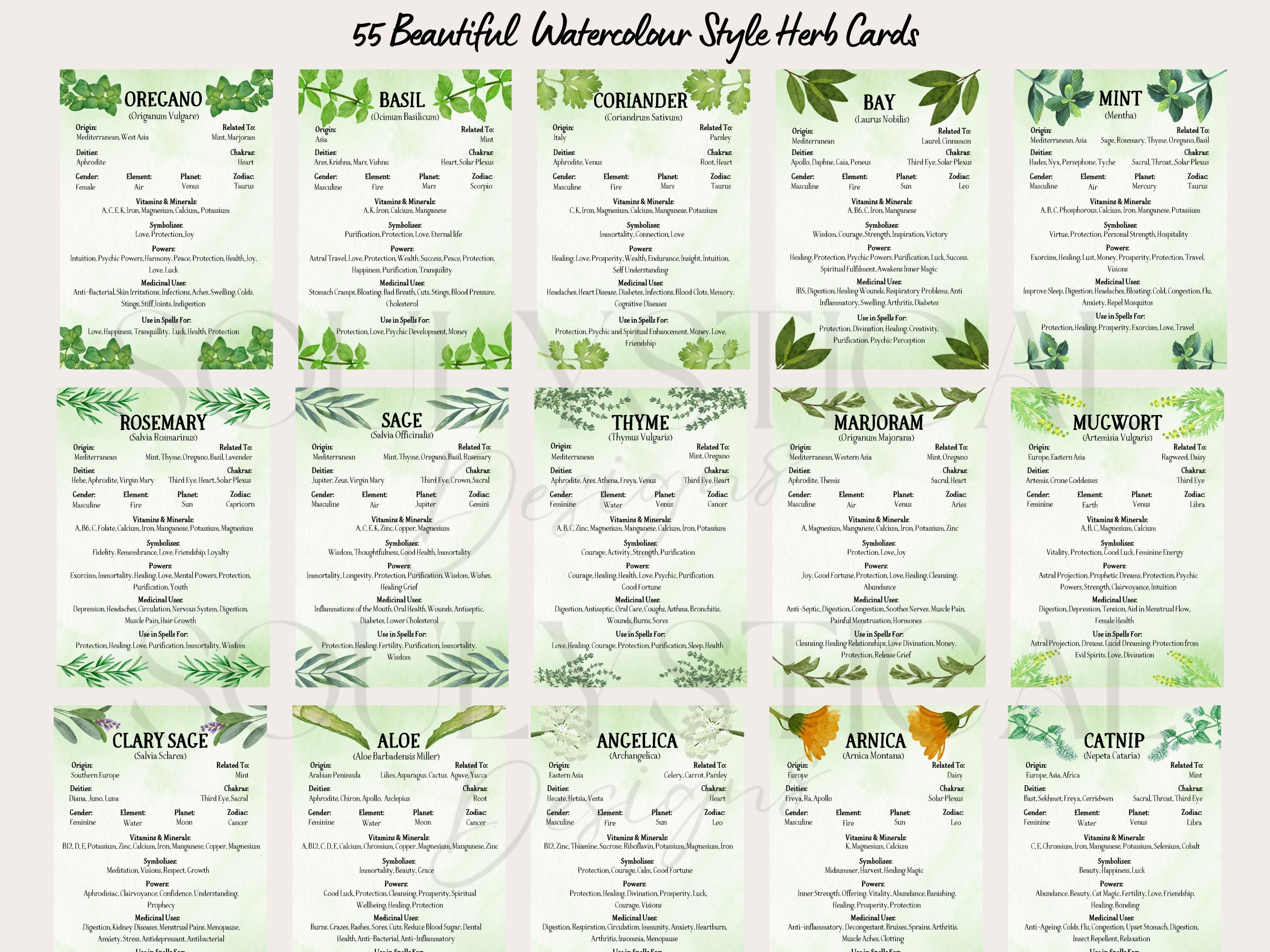 Printable Herb Cards, Watercolour Herbs, Medicinal Herbal Reference ...