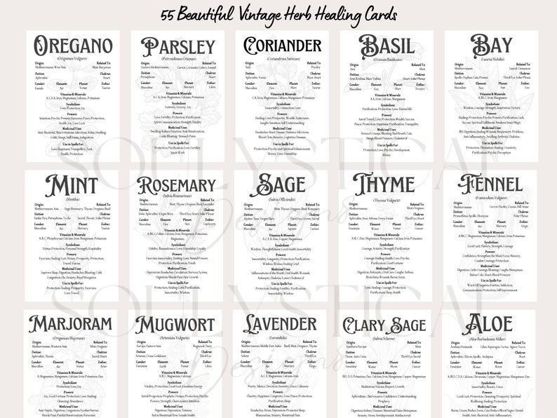 Herb Cards Printable Sketch Style Herb Card Deck Download Medicinal ...
