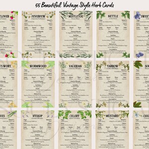 Printable Herb Cards, Watercolour Herbs, Vintage Witch Style With ...