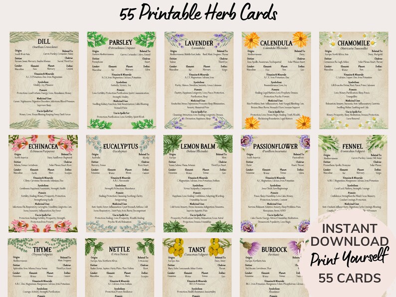Printable Herb Cards Watercolour Herbs Vintage Witch Style - Etsy