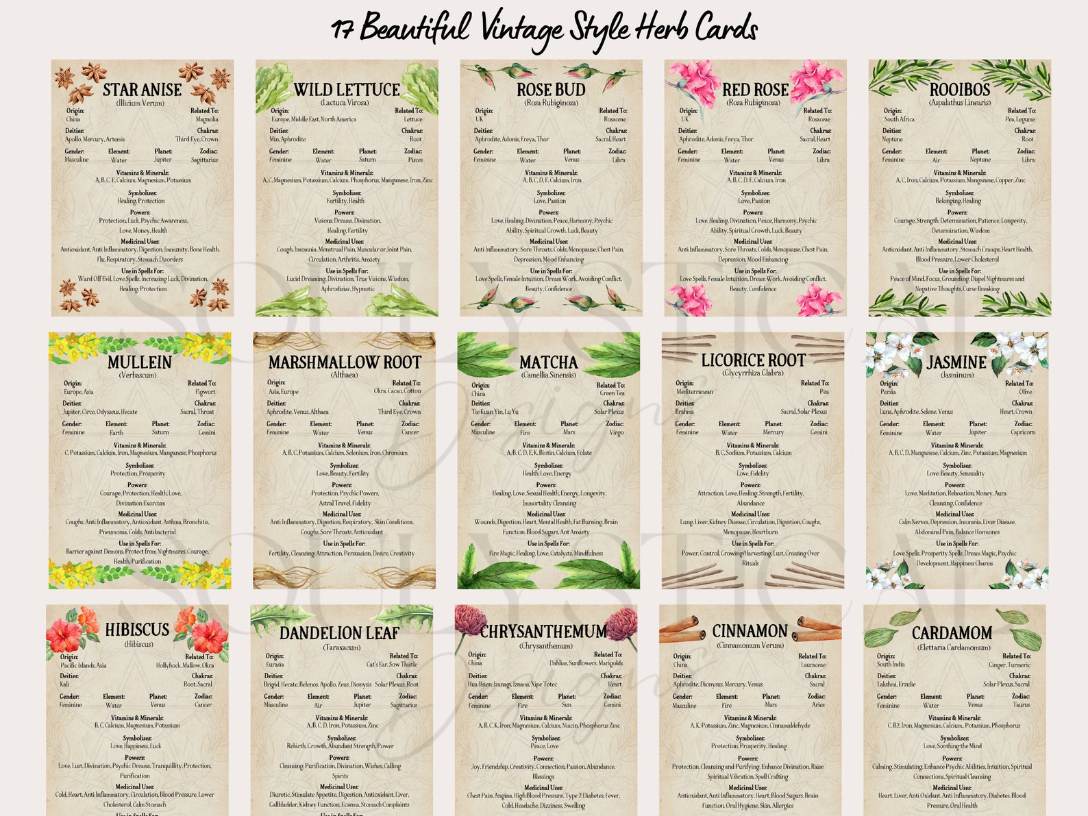 Printable Herb Cards, Watercolour Herbs, Vintage Witch Style, Medicinal ...