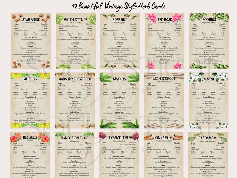 Printable Herb Cards, Watercolour Herbs, Vintage Witch Style, Medicinal ...