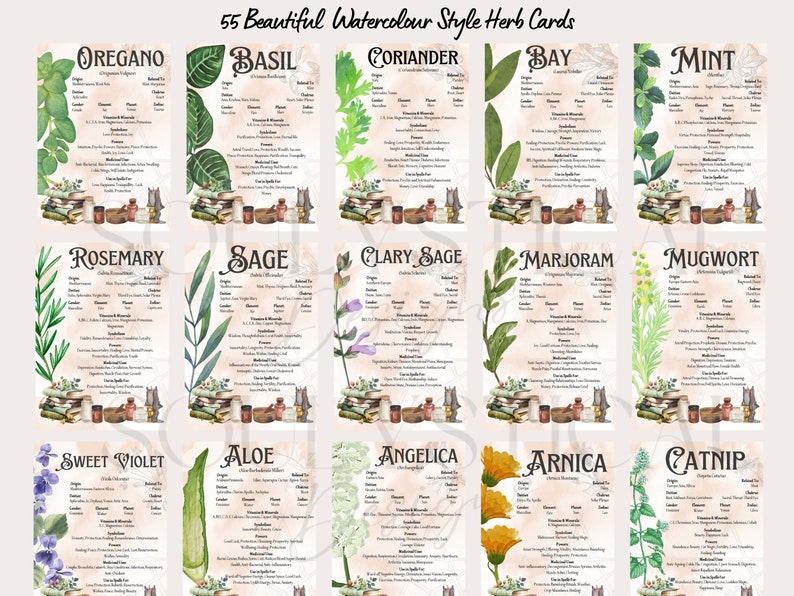 Herb Cards Watercolour Herb Cards Vintage Witch Style Herbal Healing ...