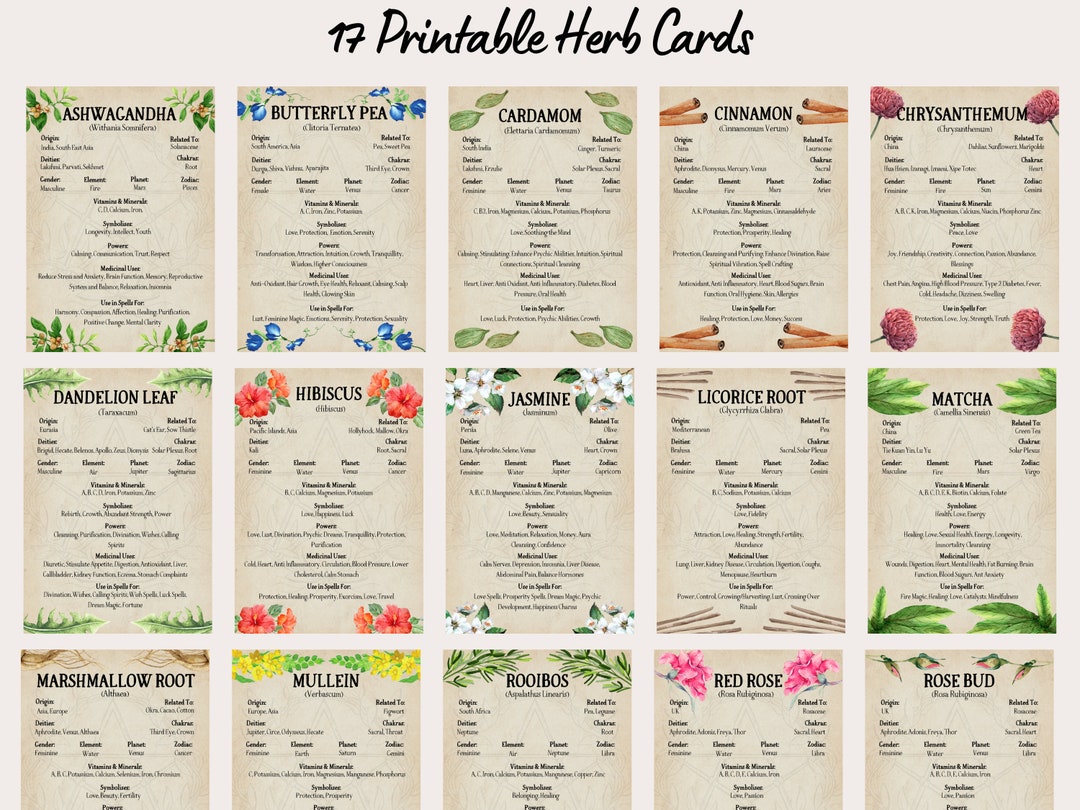 Printable Herb Cards Watercolour Herbs Vintage Witch Style - Etsy