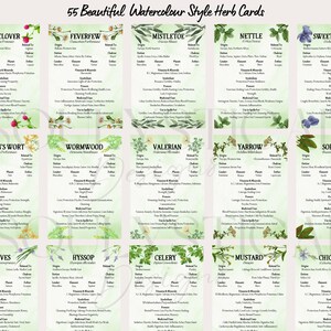 Printable Herb Cards, Watercolour Herbs, Medicinal Herbal Reference ...