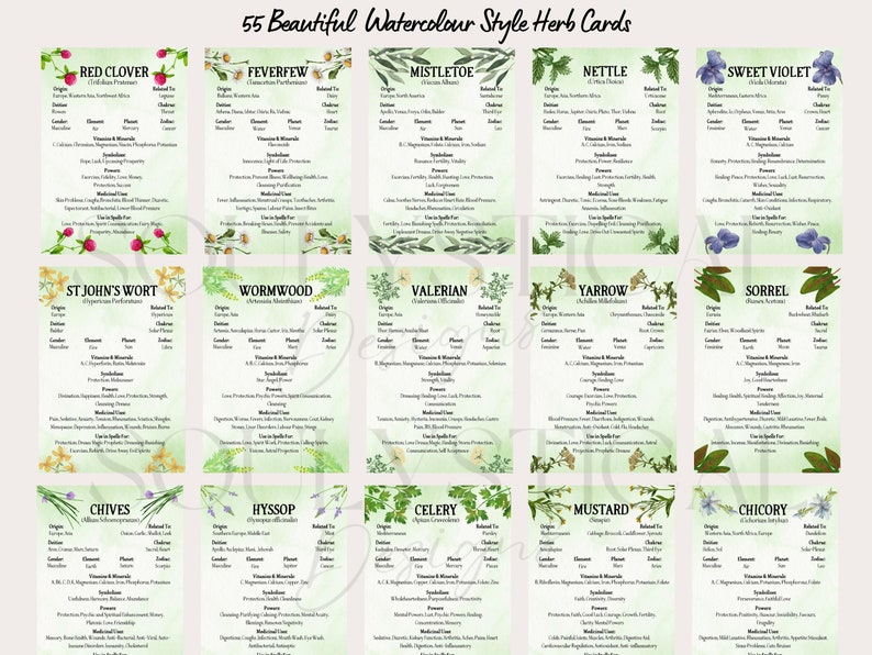 Printable Herb Cards, Watercolour Herbs, Medicinal Herbal Reference ...