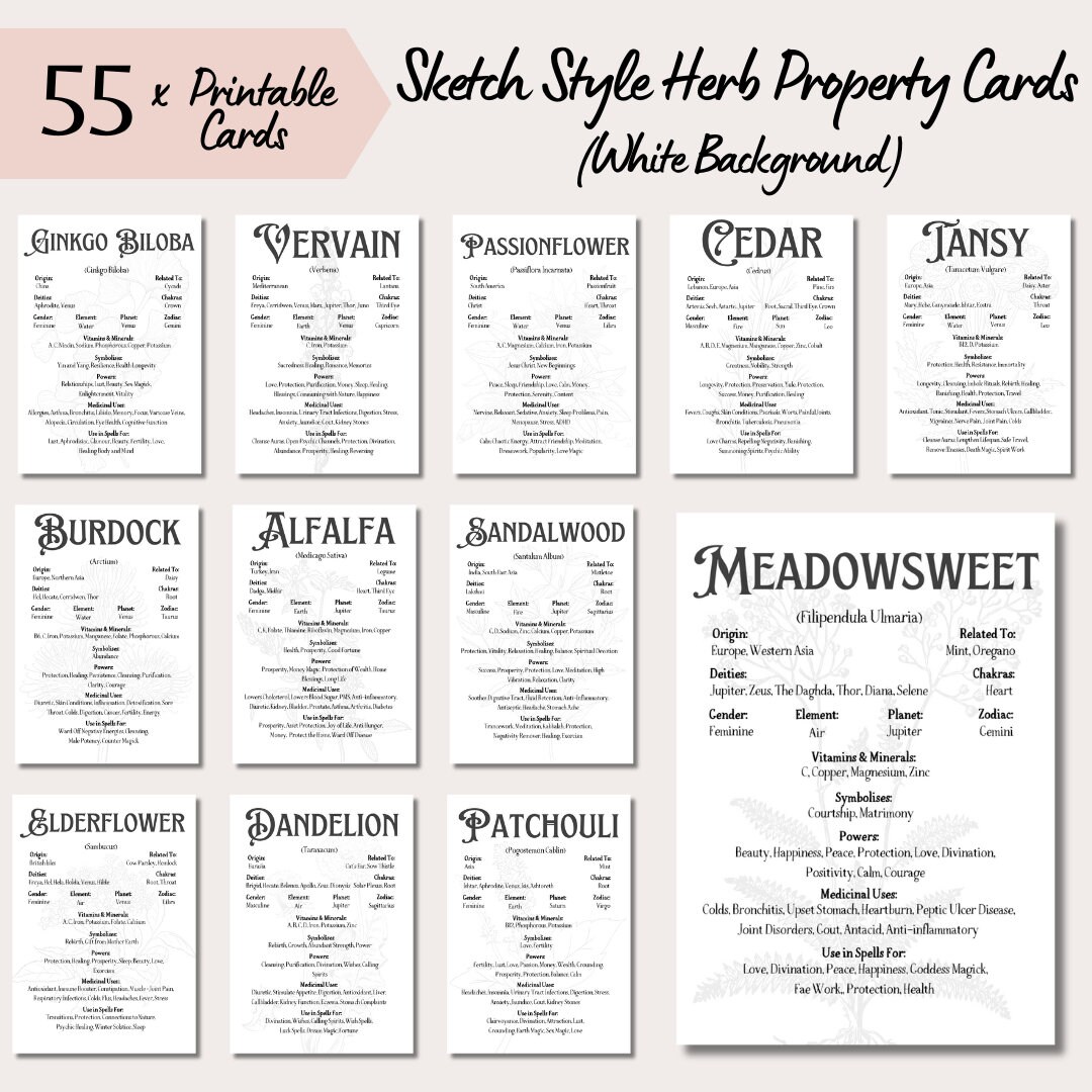 Herb Cards Printable Sketch Style Herb Card Deck Download Medicinal ...