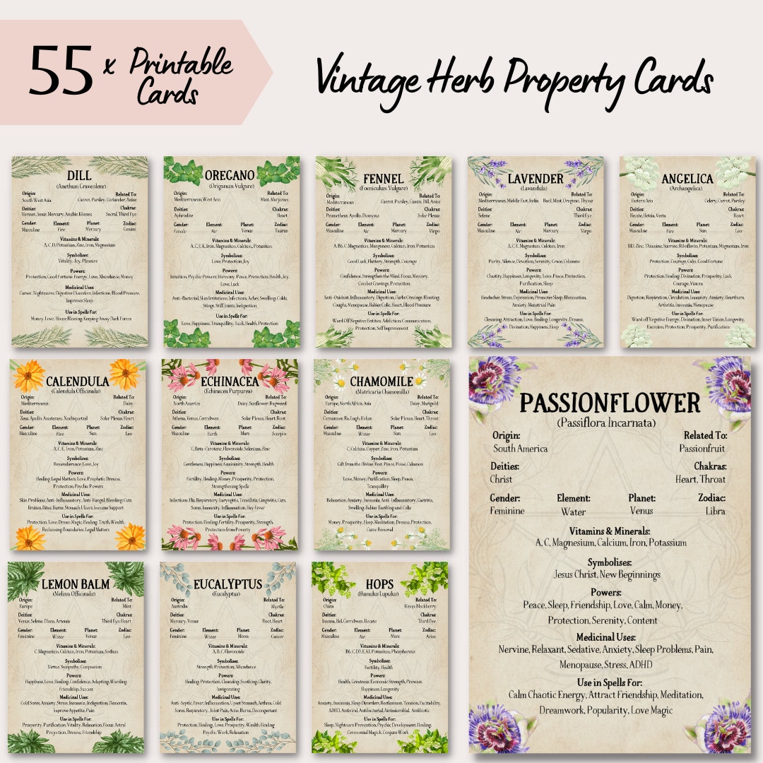 Printable Herb Cards, Watercolour Herbs, Vintage Witch Style With ...