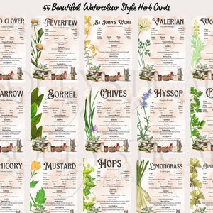 Herb Cards Watercolour Herb Cards Vintage Witch Style Herbal Healing ...