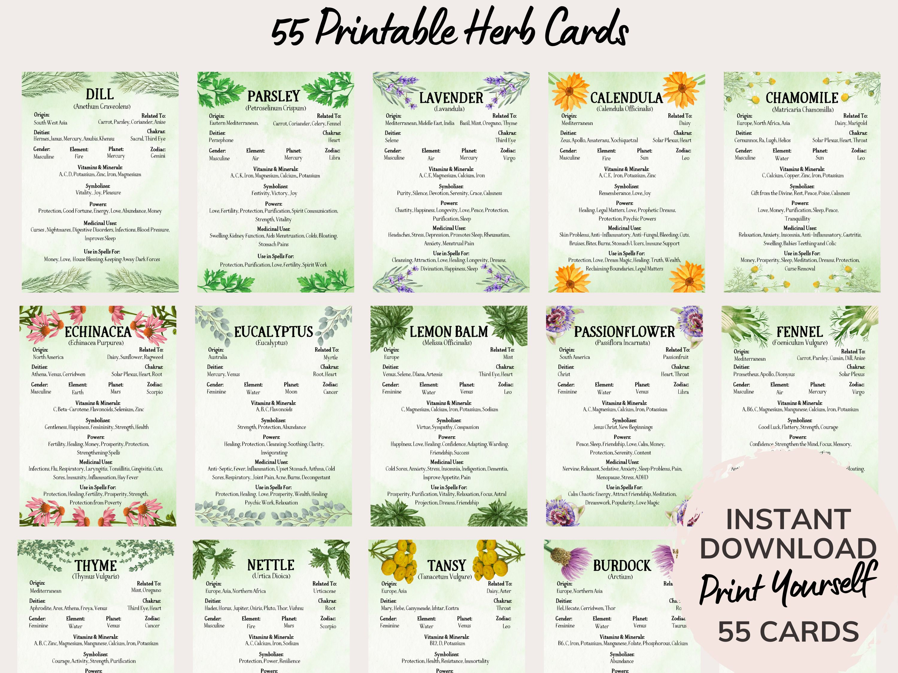 Printable Herb Cards, Watercolour Herbs, Medicinal Herbal Reference ...