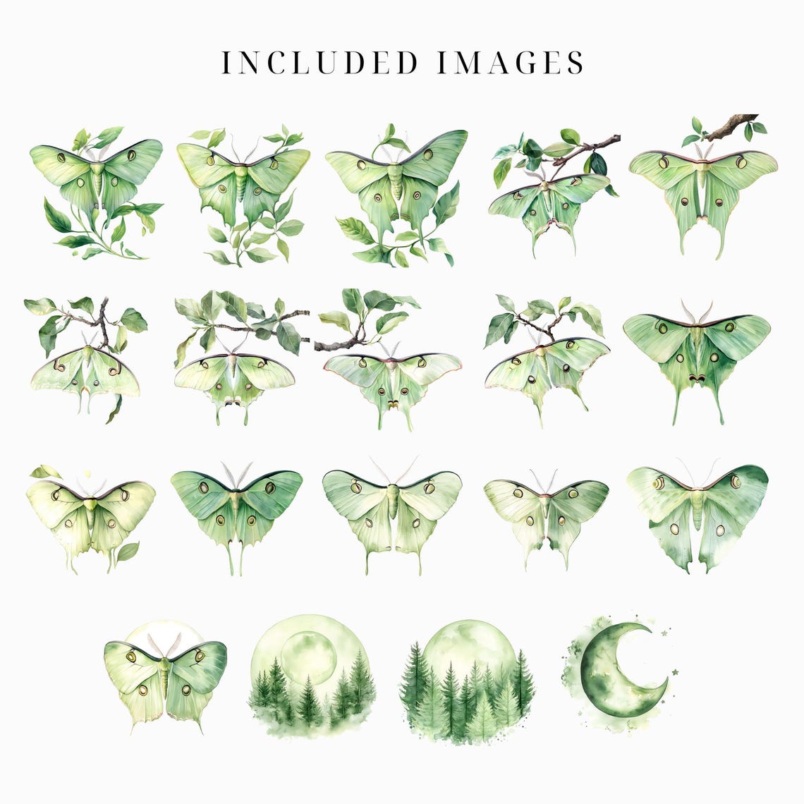 Luna Moth Watercolor Clipart, Moon and Forest Scenes Digital ...