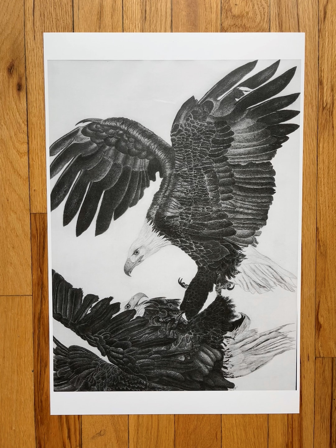 Eagle Mating Flight Print of Original Pencil Drawing, Eagle Wall Art ...