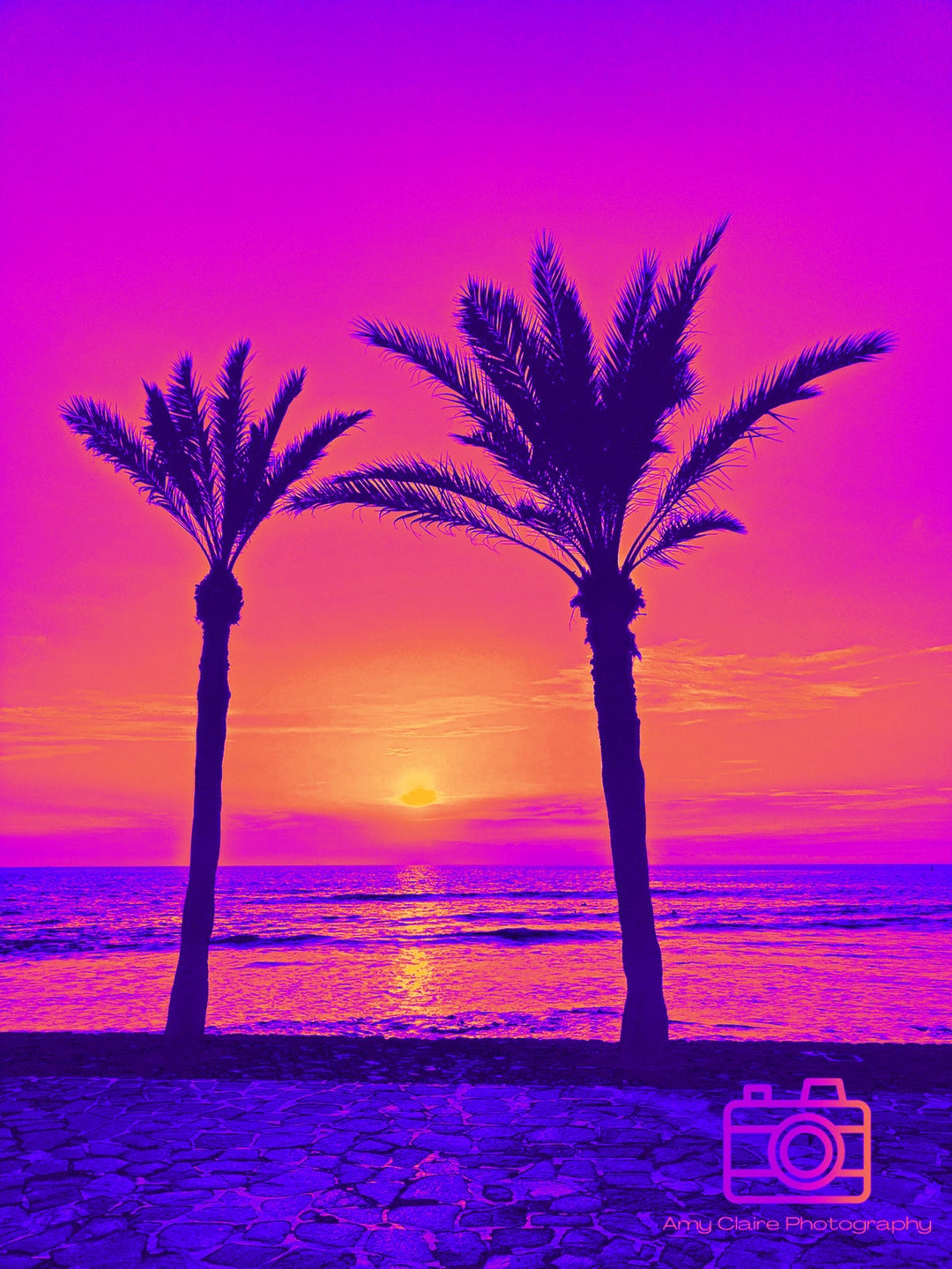 Palm Tree | Colourful | Digital Download - Etsy