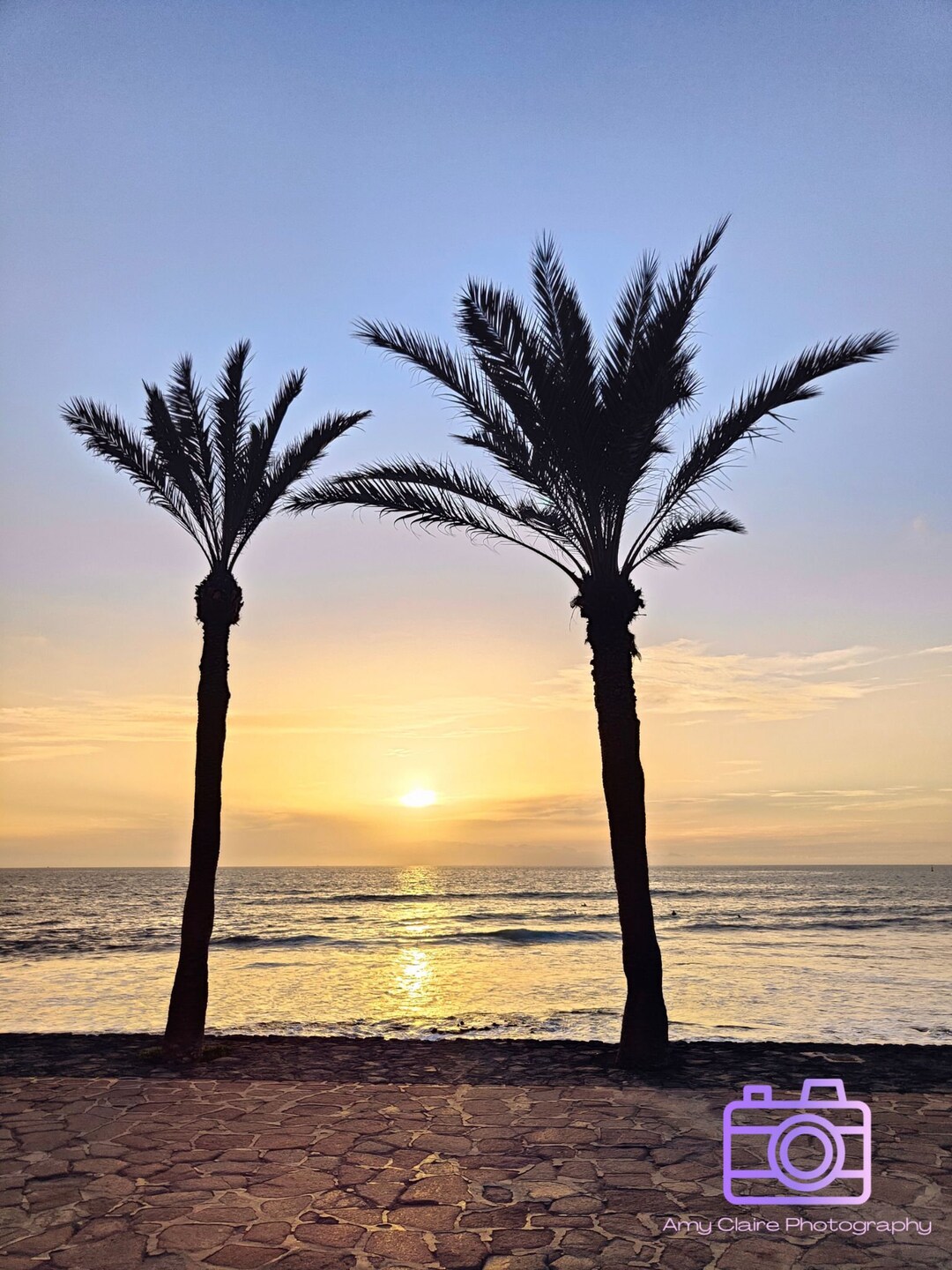 Palm Tree | Sunset | Ocean/sea Digital Download - Etsy