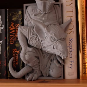 Treasure Rat Book Nook, 3D Printed Fantasy Dungeon Bookshelf Decor - Etsy