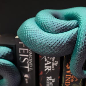 Snake Book Nook - Two-part Head and Tail Design for Bookshelves - Etsy