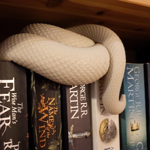 Snake Book Nook - Two-part Head and Tail Design for Bookshelves - Etsy