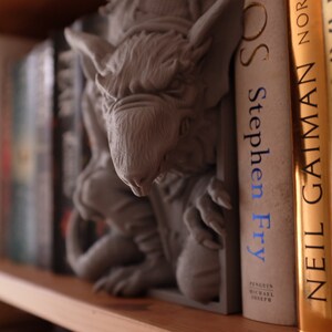 Treasure Rat Book Nook, 3D Printed Fantasy Dungeon Bookshelf Decor - Etsy