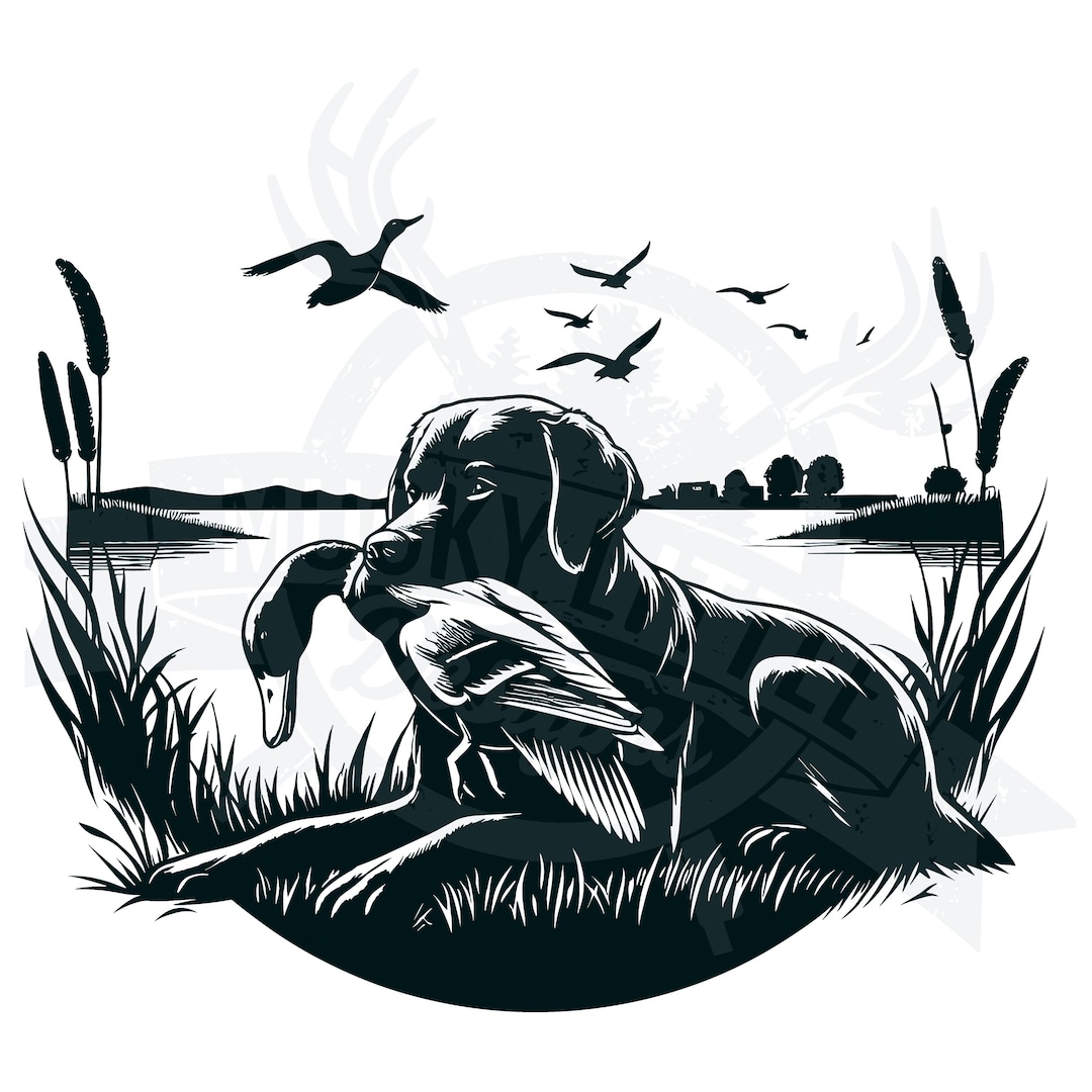 Duck Hunting Svg | Labrador Svg | Hunting Dog Svg | Duck Dog Svg | Duck ...