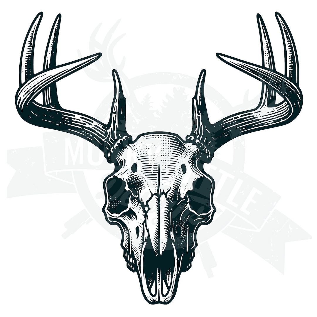 Detailed Buck Skull SVG: Whitetail Deer Hunt Design (digital Download) - Etsy