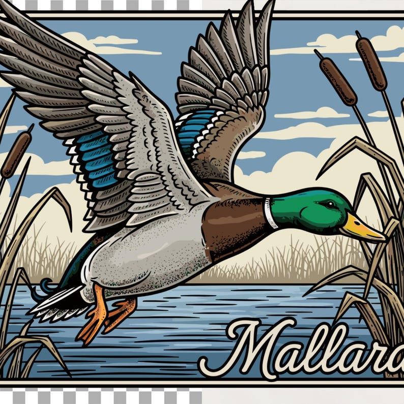 Flying Mallard Duck PNG: Duck Hunting Sublimation Print (digital ...