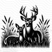 Whitetail Deer Svg Buck and Doe Svg American Hunting Svg Buck and Doe ...