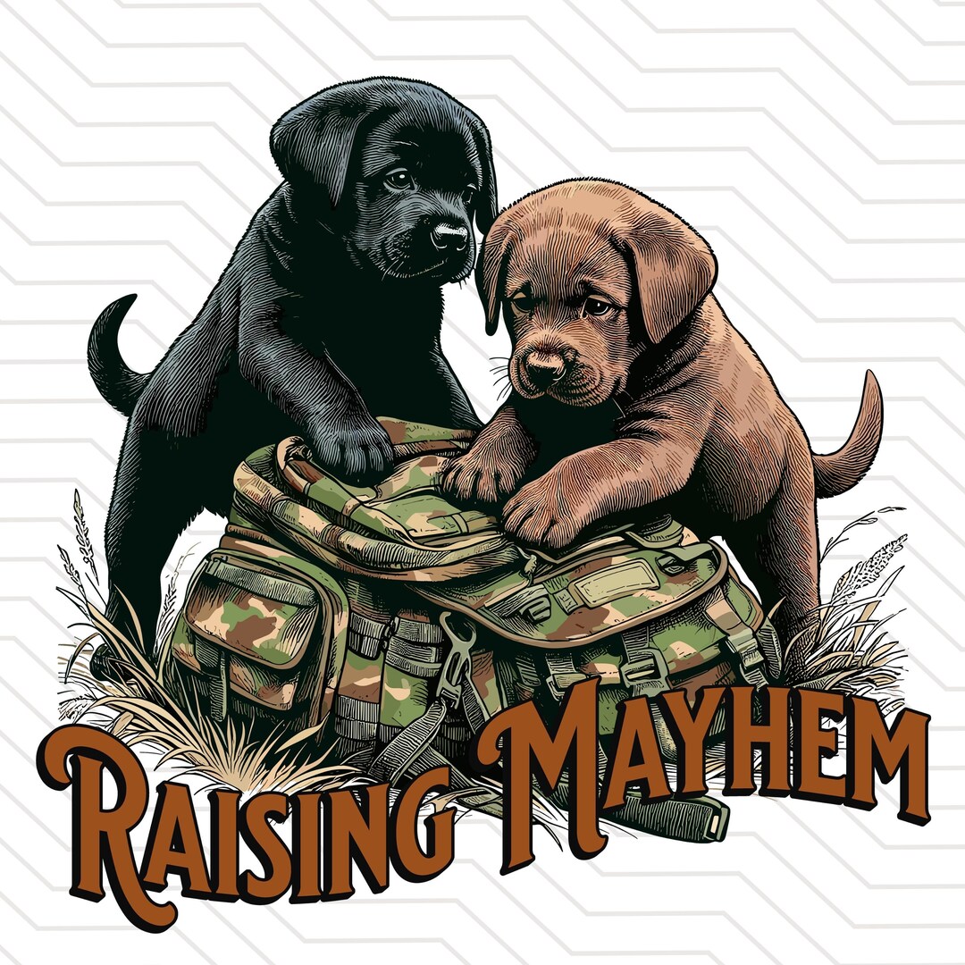 Hunting Dog PNG | Raising Mayhem Png | Duck Hunting PNG | Duck Hunter ...