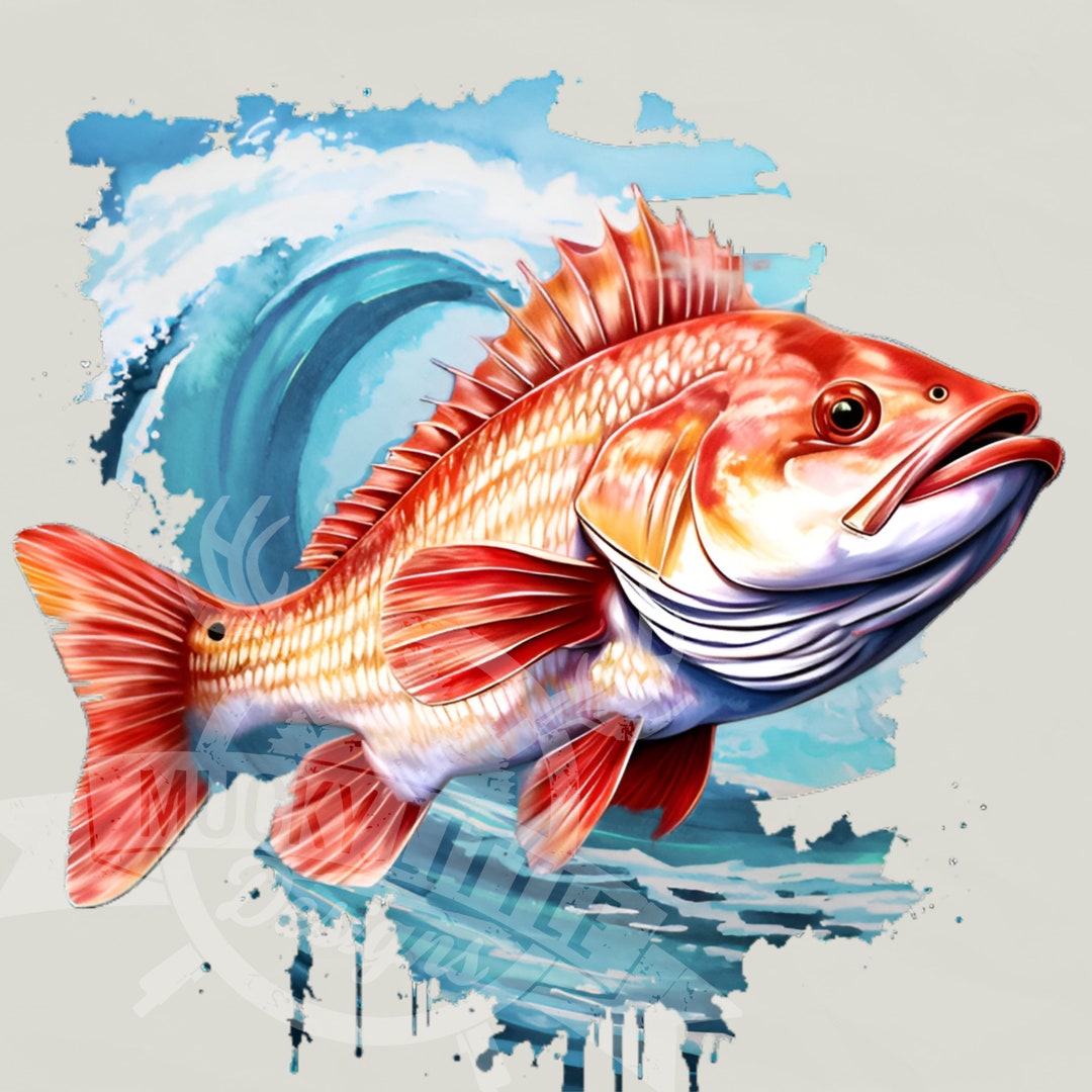 Redfish Sublimation PNG | America Fishing Png | Fishing Sublimation PNG ...